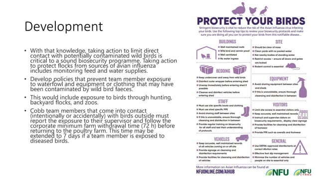 Good Management Practices.pptx