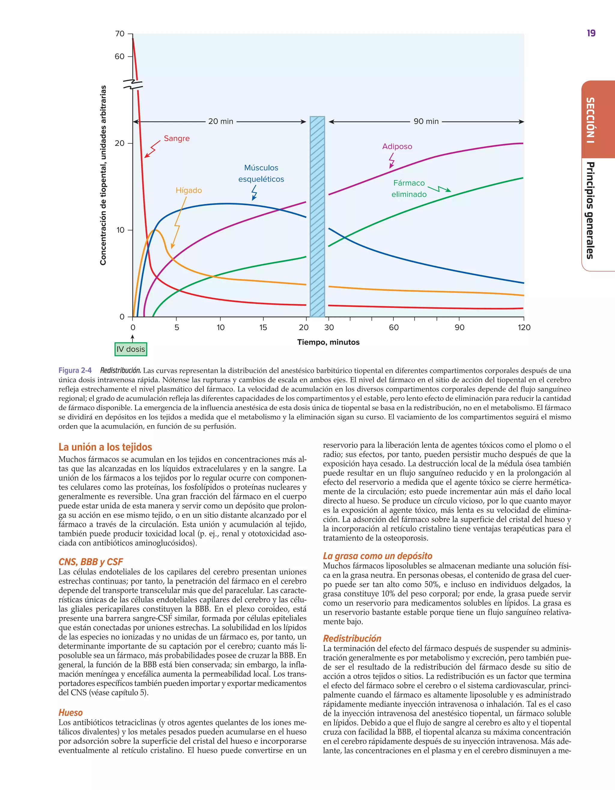 Goodman & Gilman. Las Bases Farmacologicas de la Terapeutica 13a ...