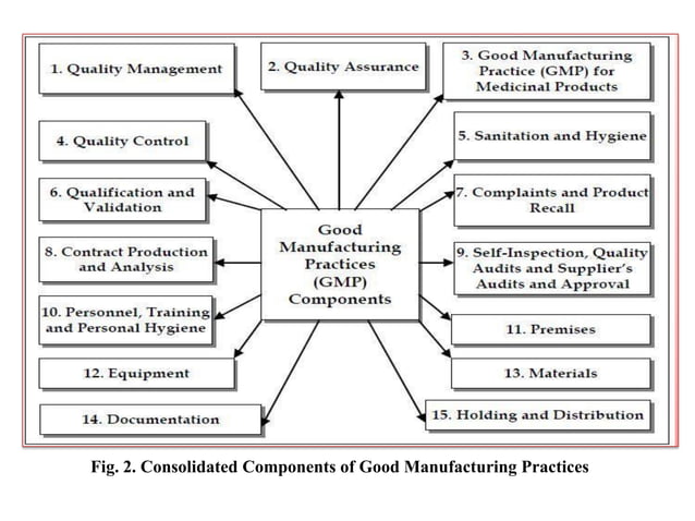 Good manufacturing practice (gmp) | PDF | Recalls | Consumer Issues