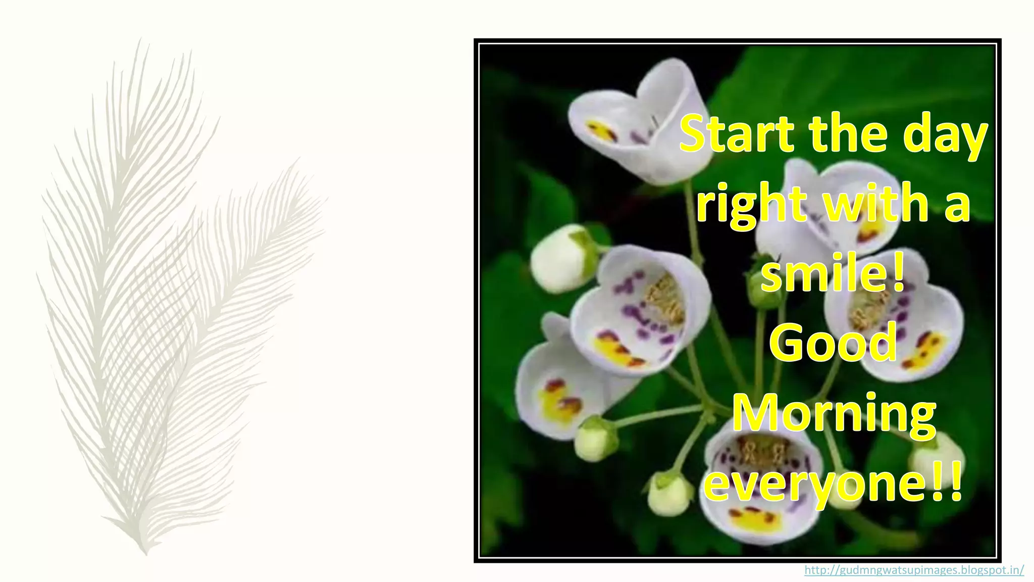 Good morning wishes with flowers | PPTX