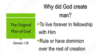Origin of Life and Destiny of Man | PPTX