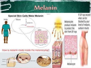 Good personal hygiene and the skin | PPTX