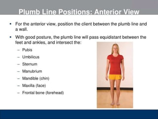 Good posture | PPT