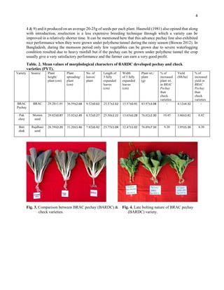 'Sufola Batishak' A Good Quality Pechay Variety Developed by BRAC ...