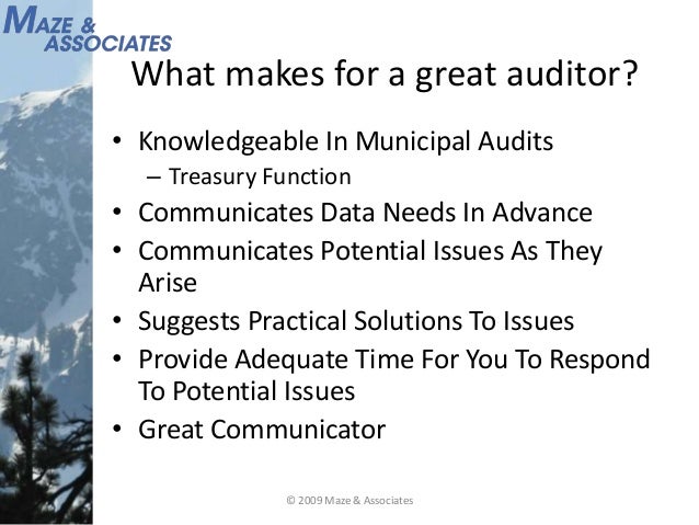 Maintaining a Good Relationship with Your Auditor 2009