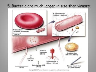 3.1 Bacteria - Good vs. Bad | PPTX