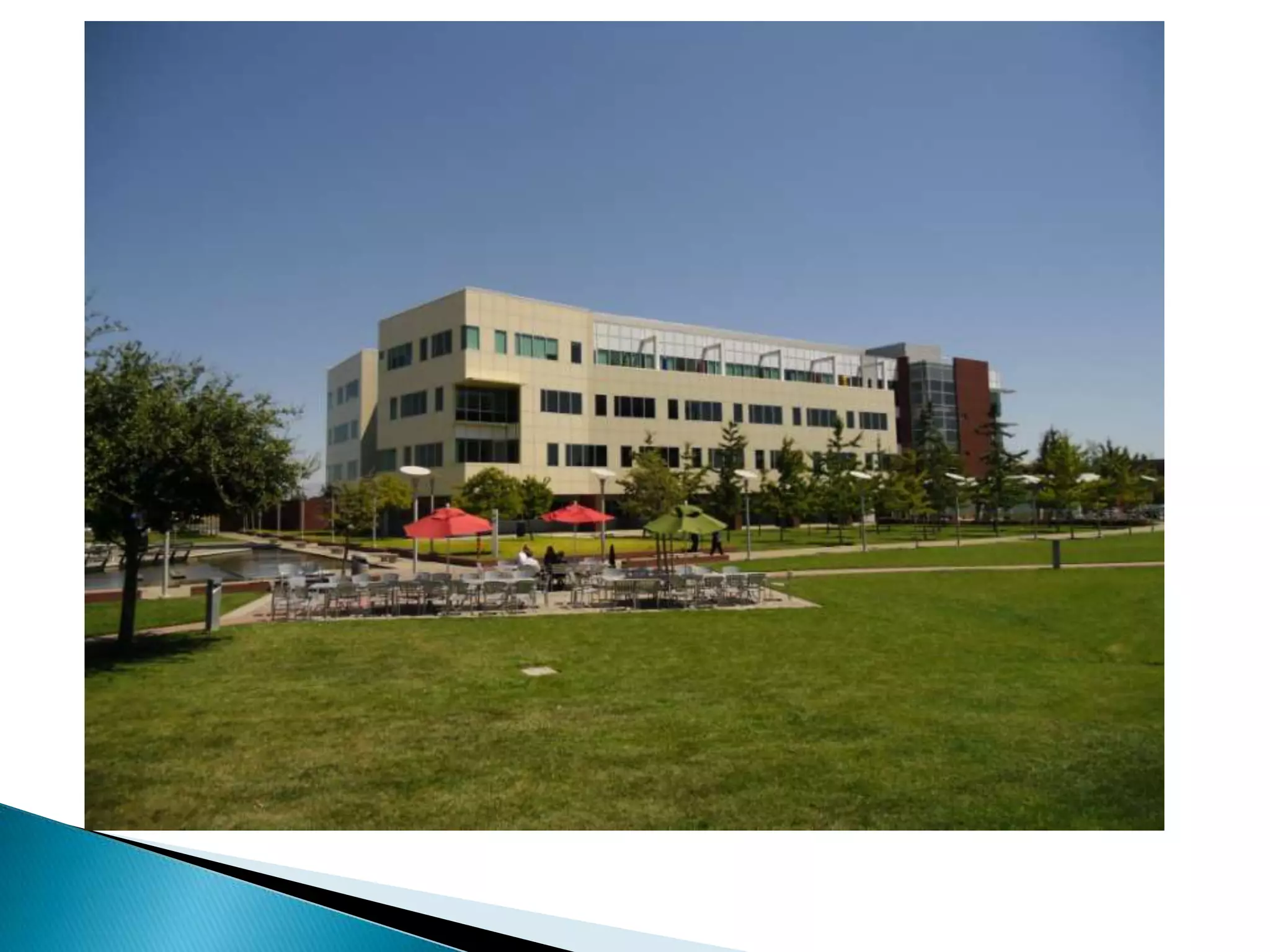 Photos from Google Ambassador Summit | PPTX