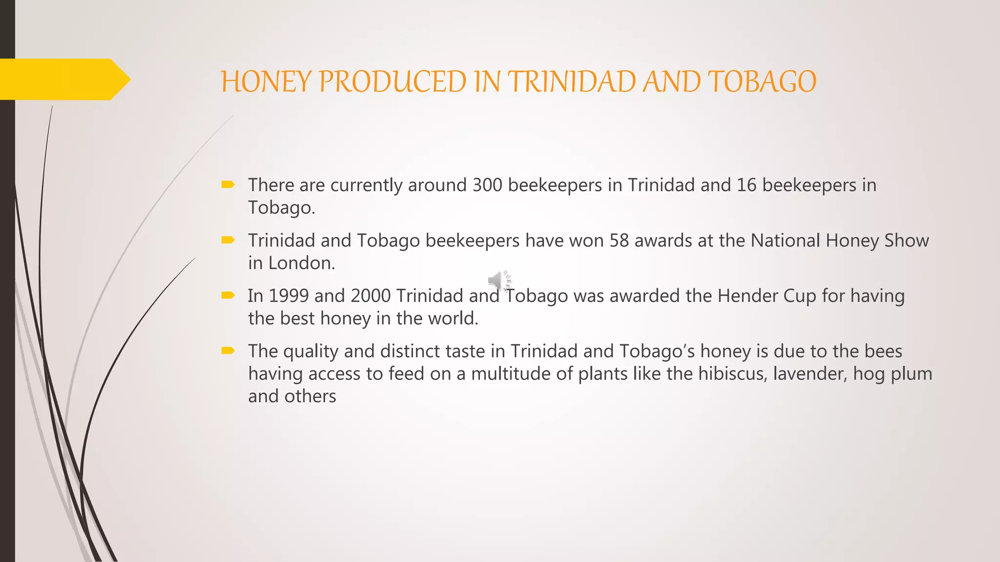 Bee Keeping In Trinidad and Tobago | PPTX