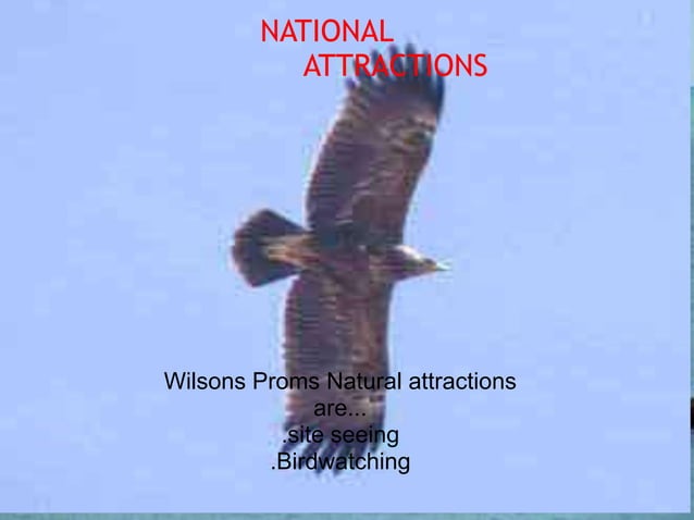 Wilson's Prom National Park | PPSX