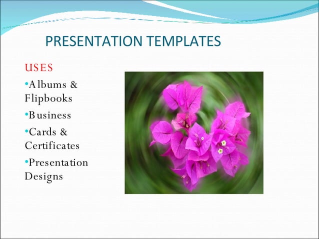 Rena Brown - Google Doc | PPT