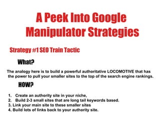 Google Manipulator Scam Review | PPT
