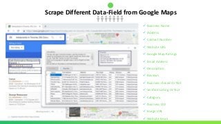 Google Map Scraping.pptx