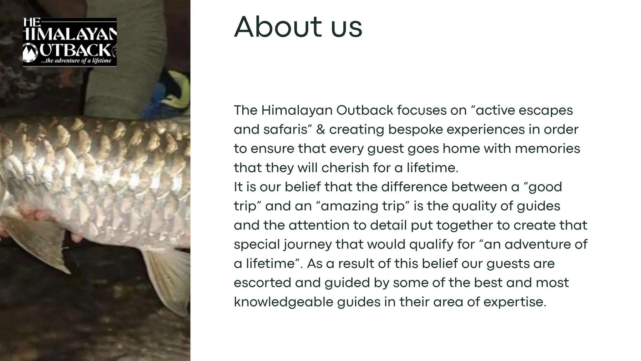 Goonch Catfish | PPT