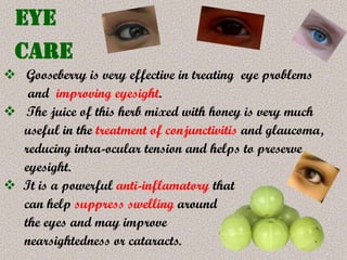 Medicinal properties of Gooseberry | PPTX