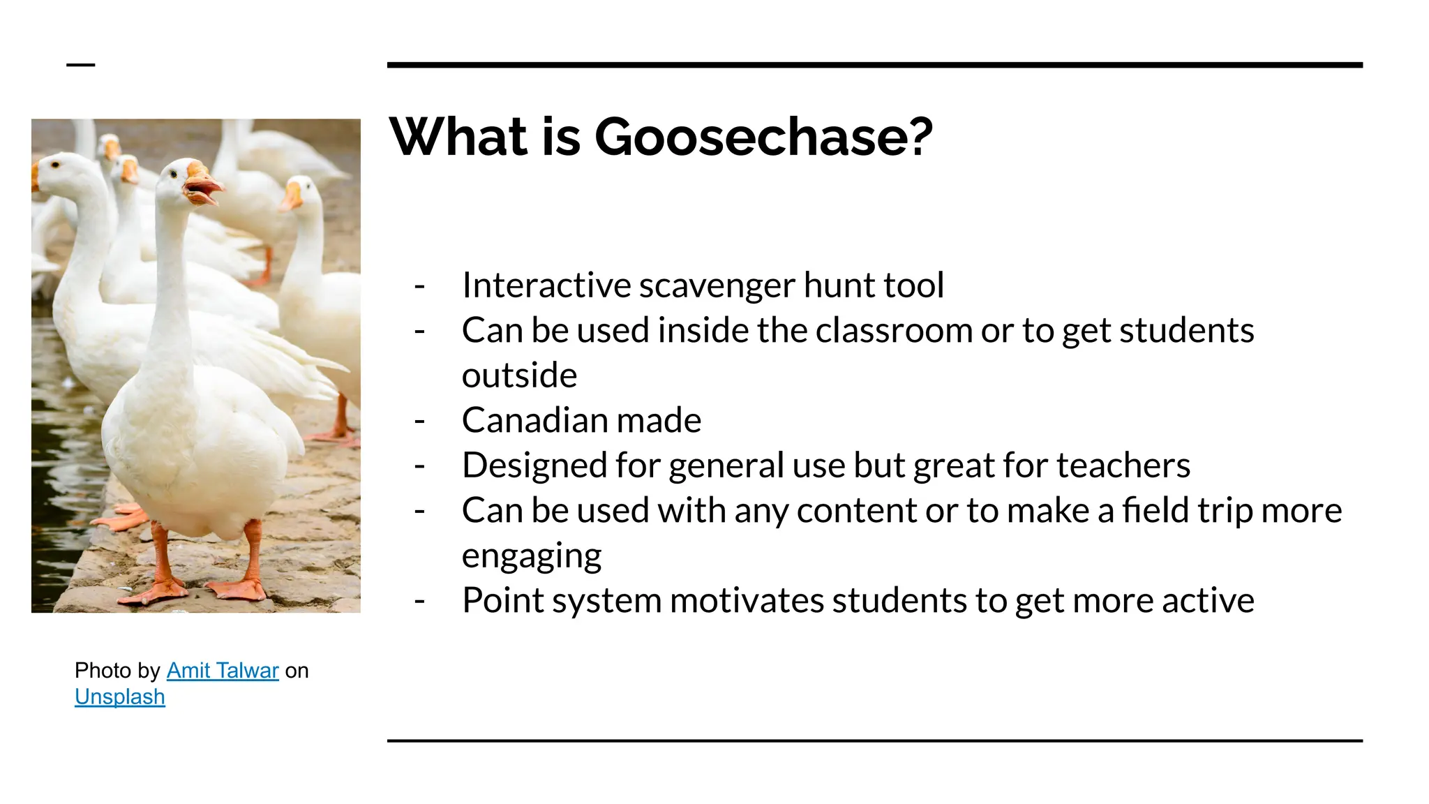 Goosechase (1).pdf