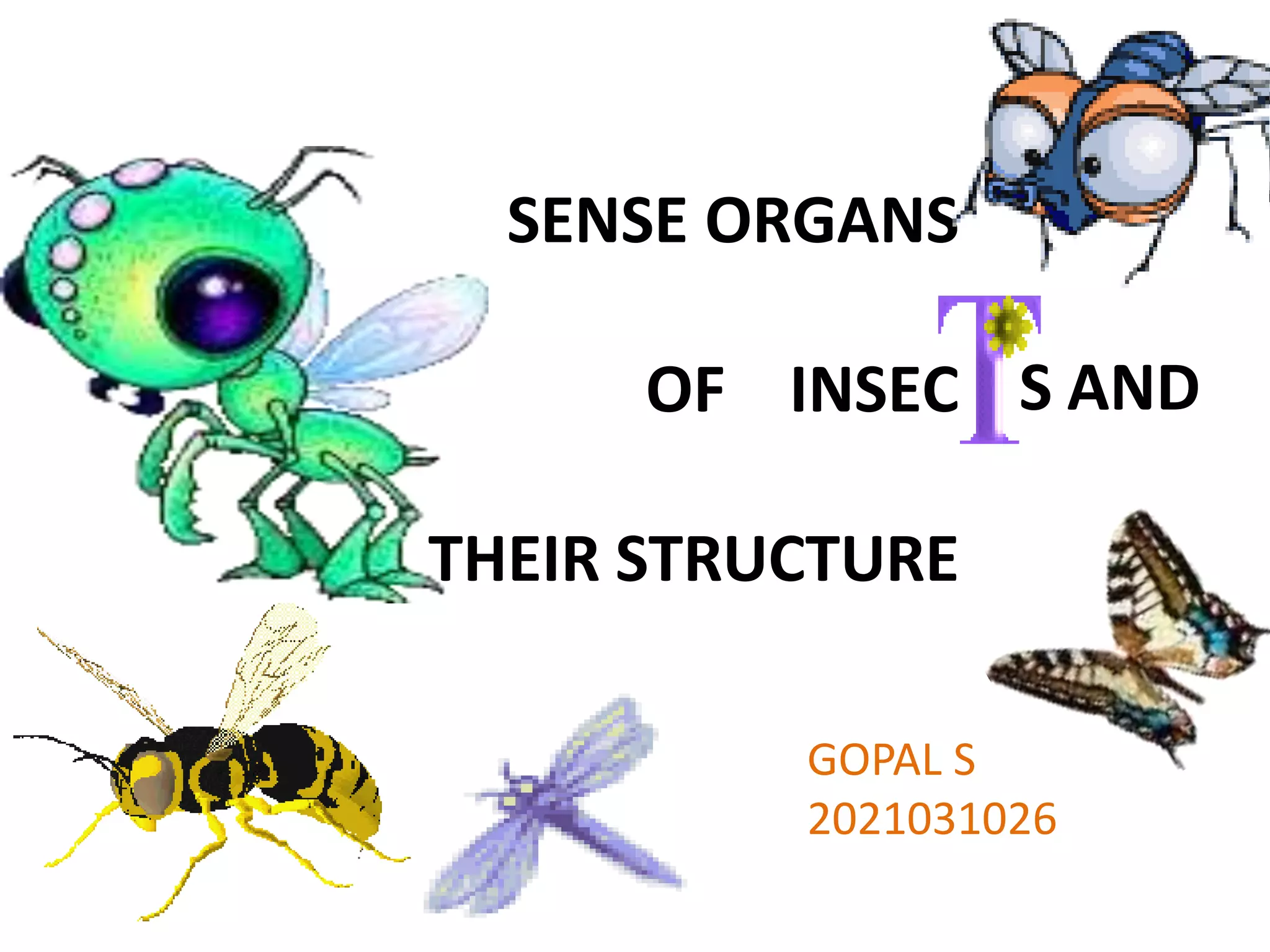 GOPAL S 2021031026 AEN 201 ppt.pptx