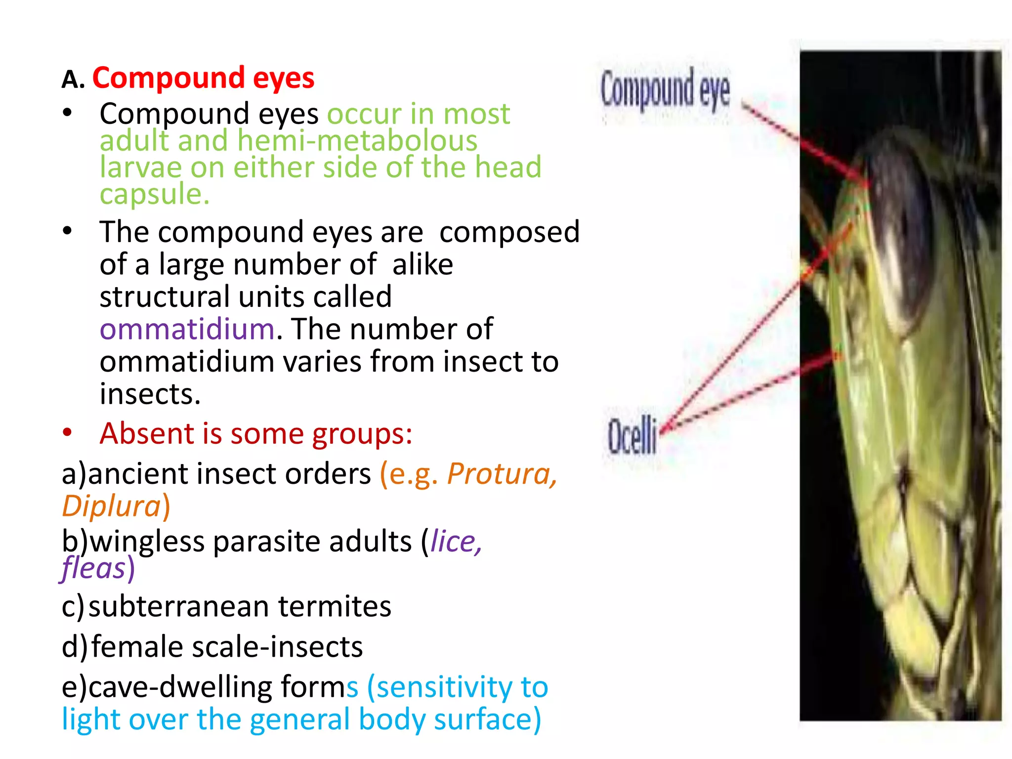 GOPAL S 2021031026 AEN 201 ppt.pptx