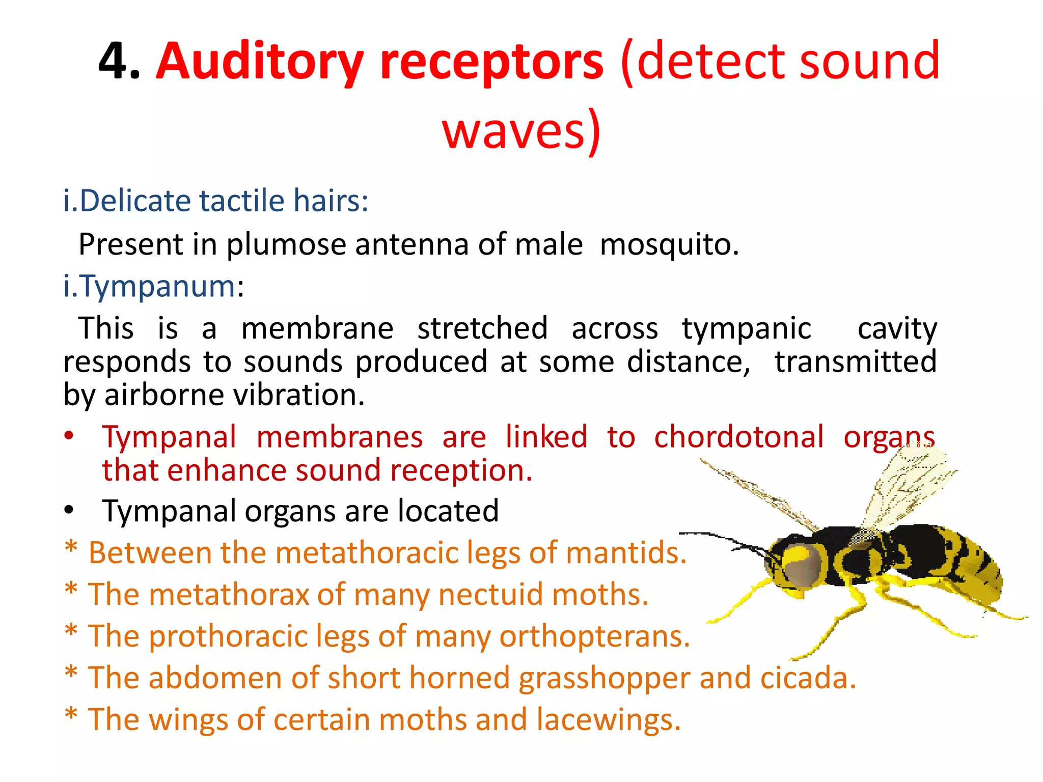 GOPAL S 2021031026 AEN 201 ppt.pptx