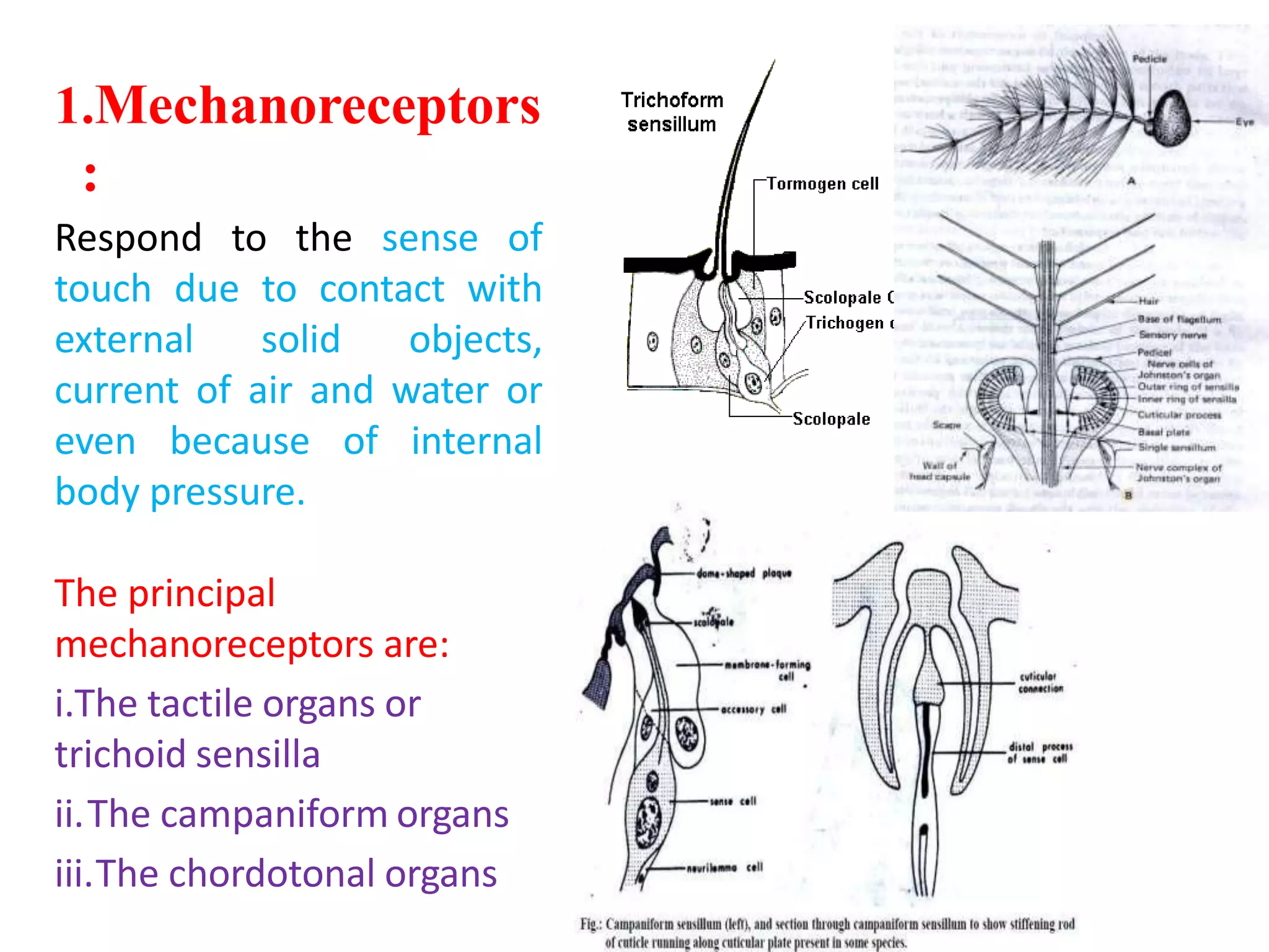 GOPAL S 2021031026 AEN 201 ppt.pptx