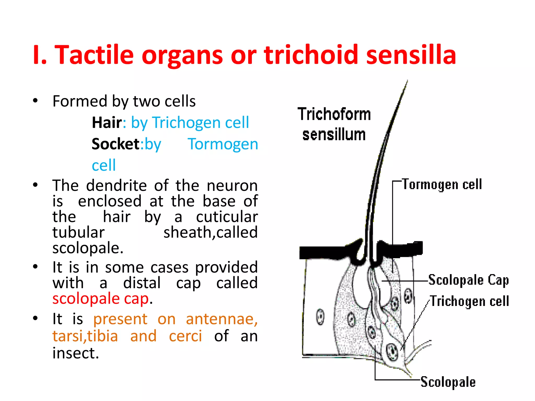 GOPAL S 2021031026 AEN 201 ppt.pptx