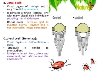 GOPAL S 2021031026 AEN 201 ppt.pptx