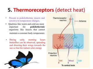 GOPAL S 2021031026 AEN 201 ppt.pptx