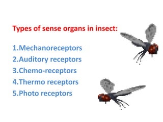 GOPAL S 2021031026 AEN 201 ppt.pptx | Eye and Vision Conditions ...