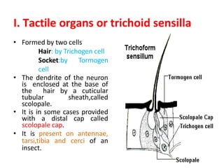 GOPAL S 2021031026 AEN 201 ppt.pptx