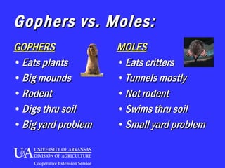 Gopher Control | PPT