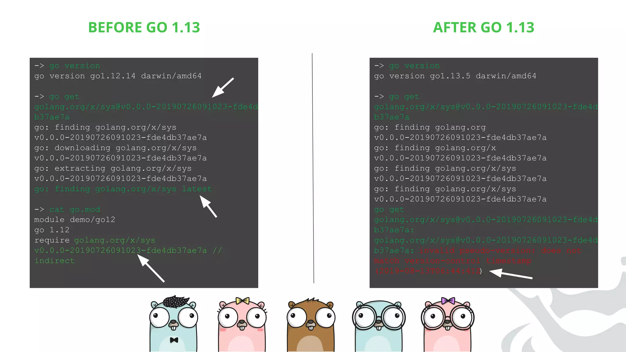 Pseudo-versions, moving to Go1.13 and later versions | PPT