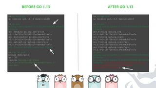 Pseudo-versions, moving to Go1.13 and later versions | PPT