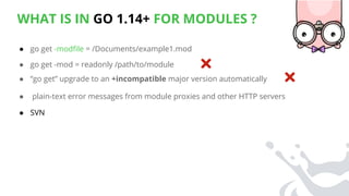 Pseudo-versions, moving to Go1.13 and later versions | PPT