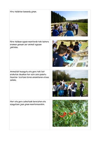 Gorbea lana leiorek eginda | ODT