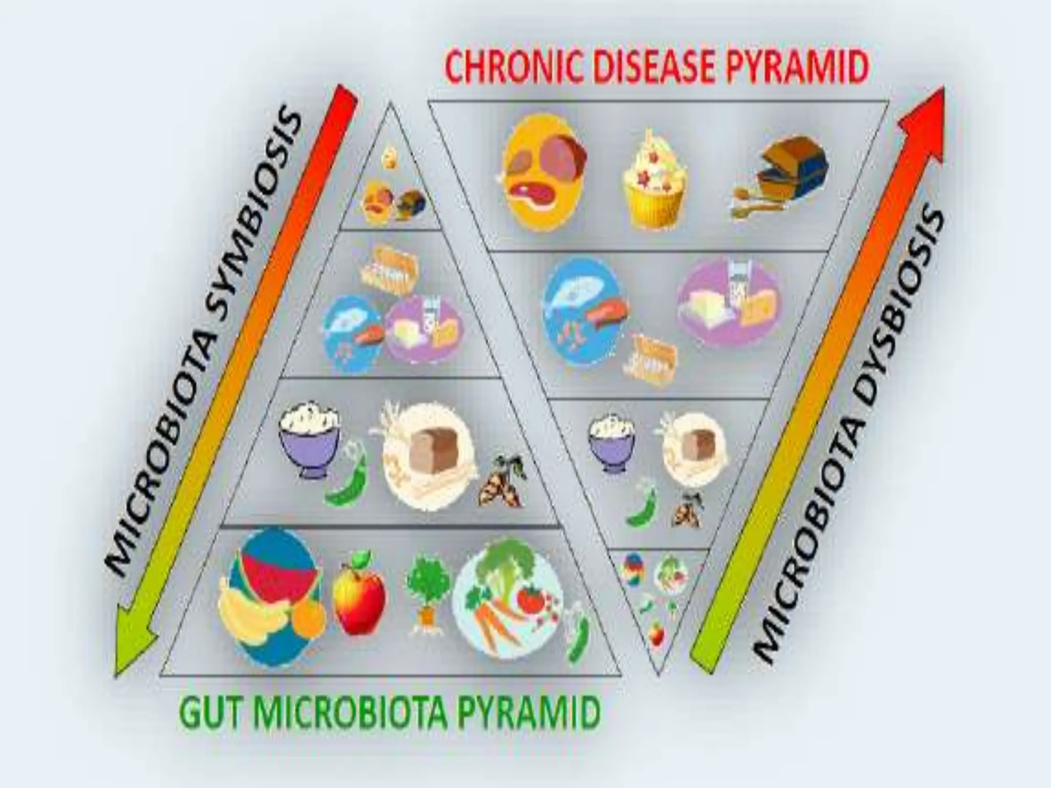 GORD DIET inpathophysiology dr Mokhtar.pptx