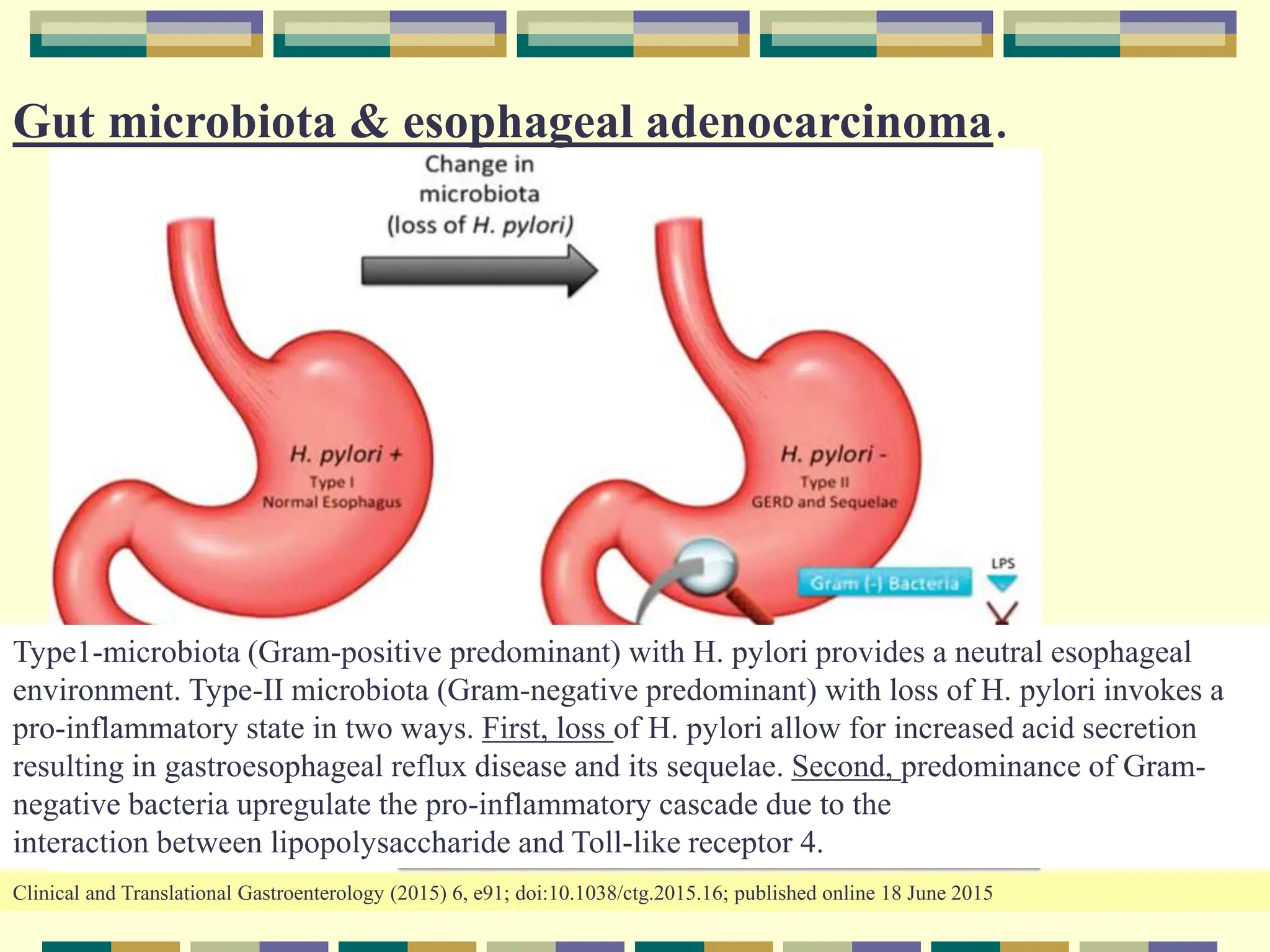 GORD DIET inpathophysiology dr Mokhtar.pptx