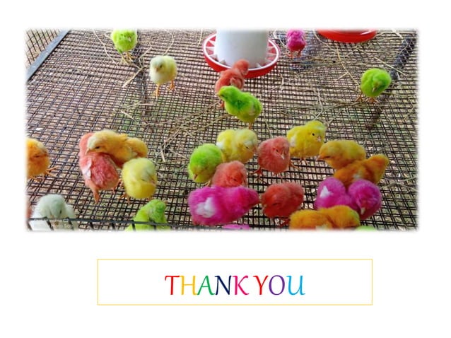 Gordon Allport Trait Theory.pptx