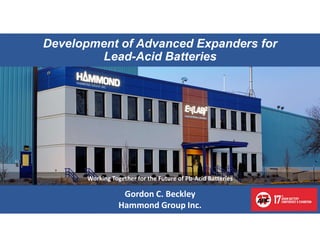 Development of Advanced Expanders for Lead‒Acid Batteries | PDF