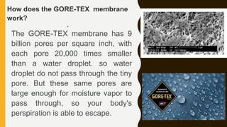 Gore Textile By BULBUL | PPTX