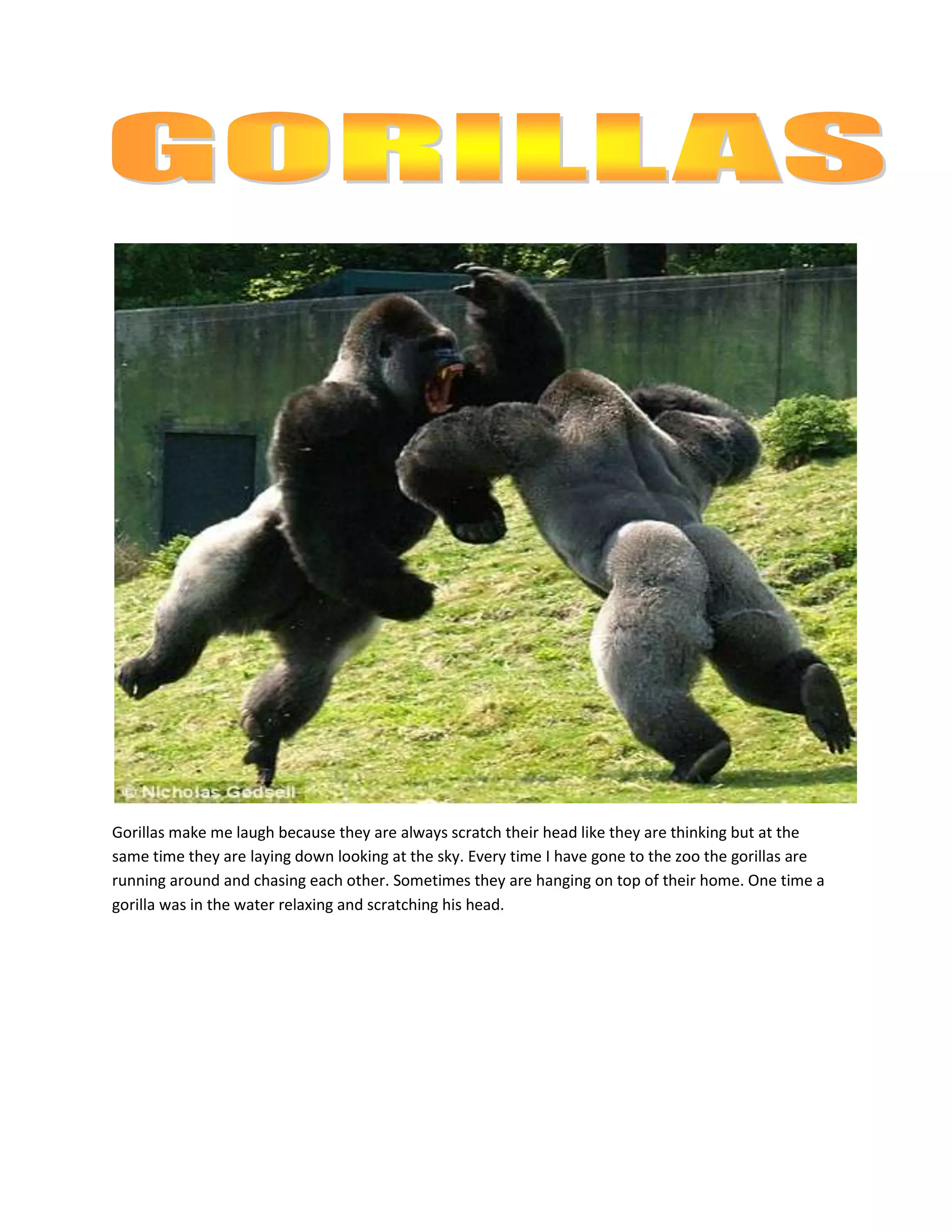 Gorillas | PDF