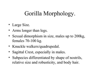 Gorillas in our midst. | PPT