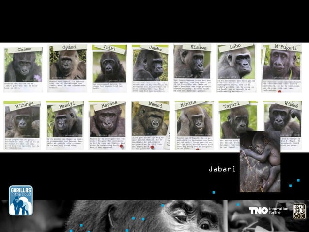 Gorillas in the_cloud | PDF
