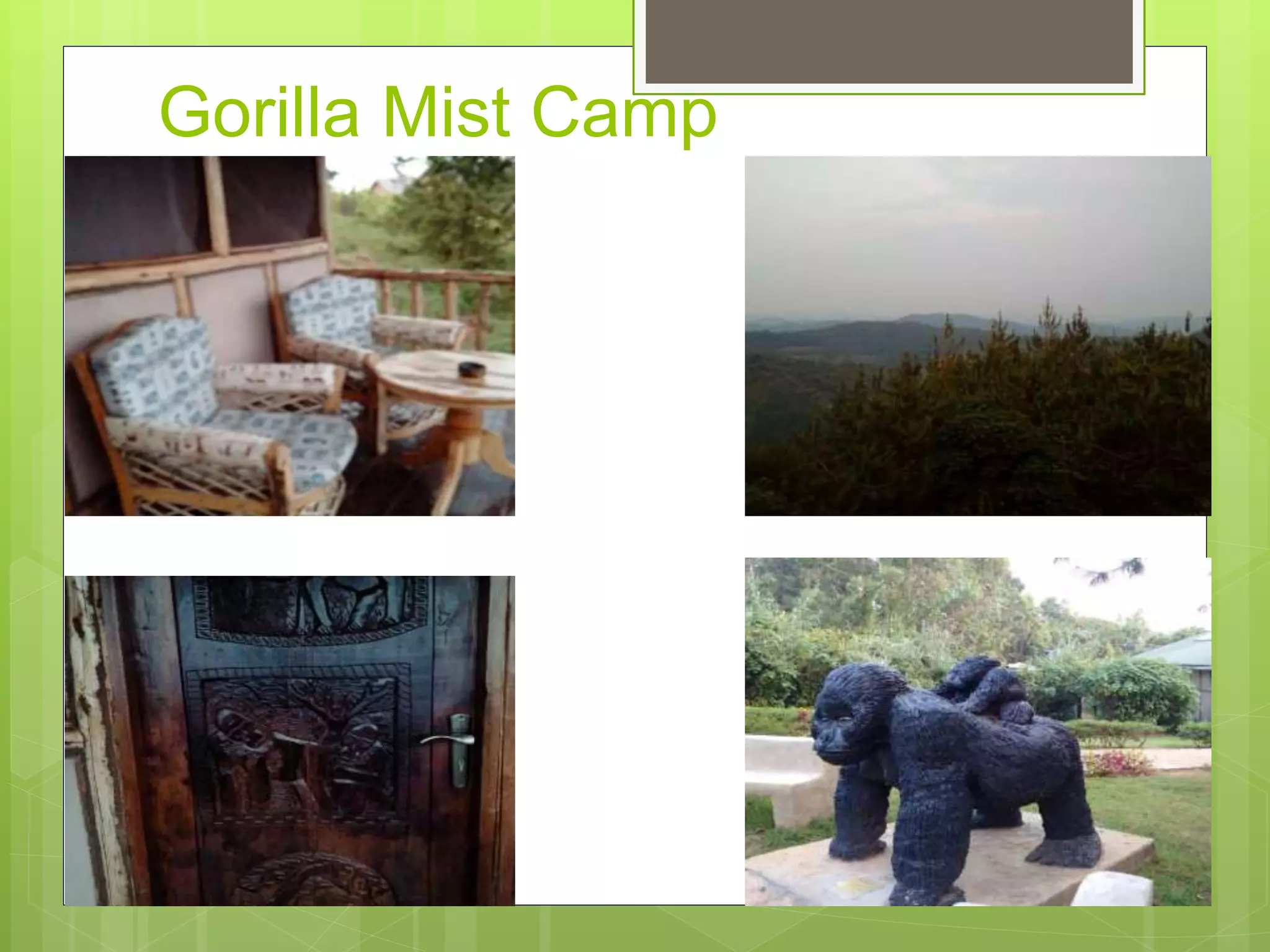 Gorillas in the mist2016 | PPTX