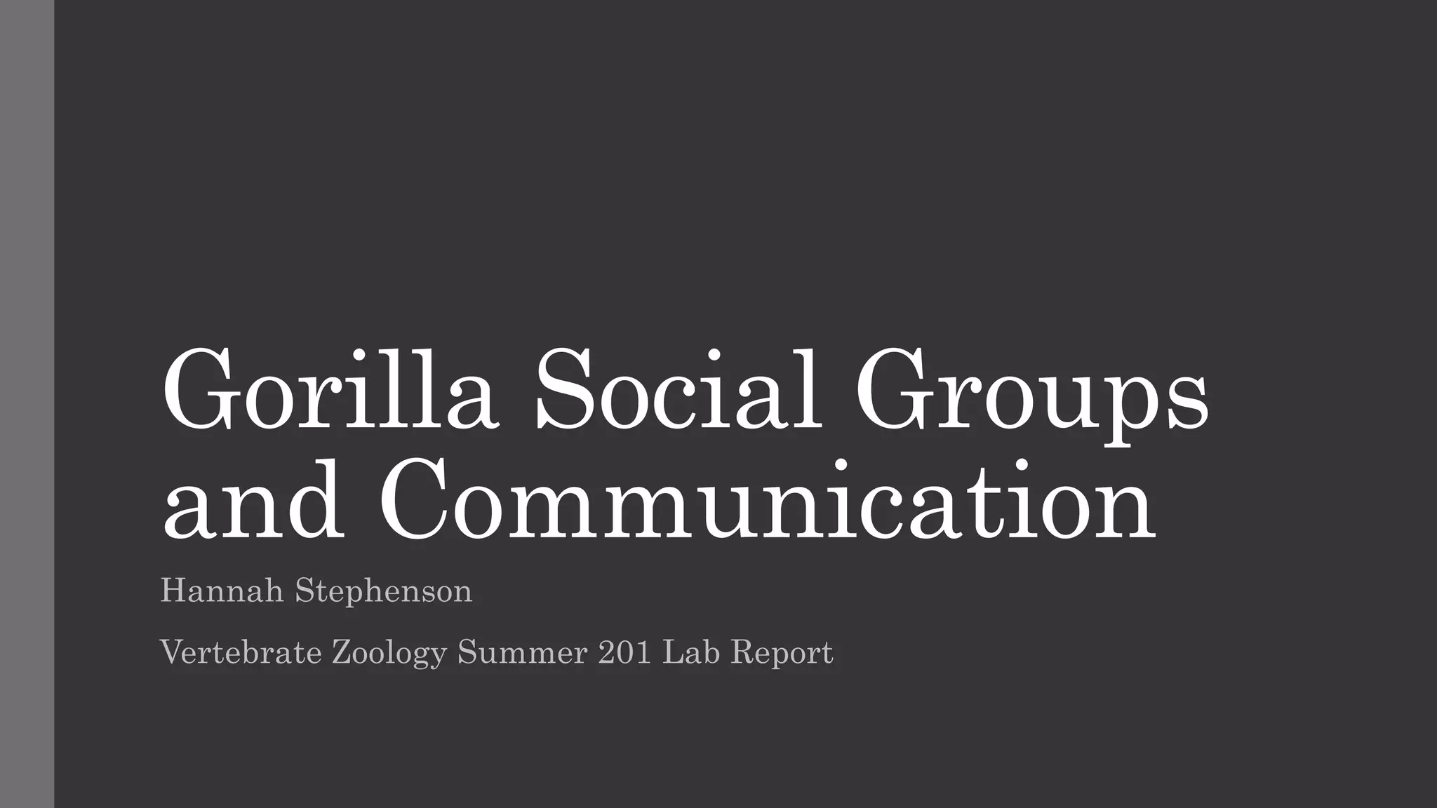 Gorilla Social Groups and Communication | PPTX