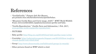Gorilla Social Groups and Communication | PPTX
