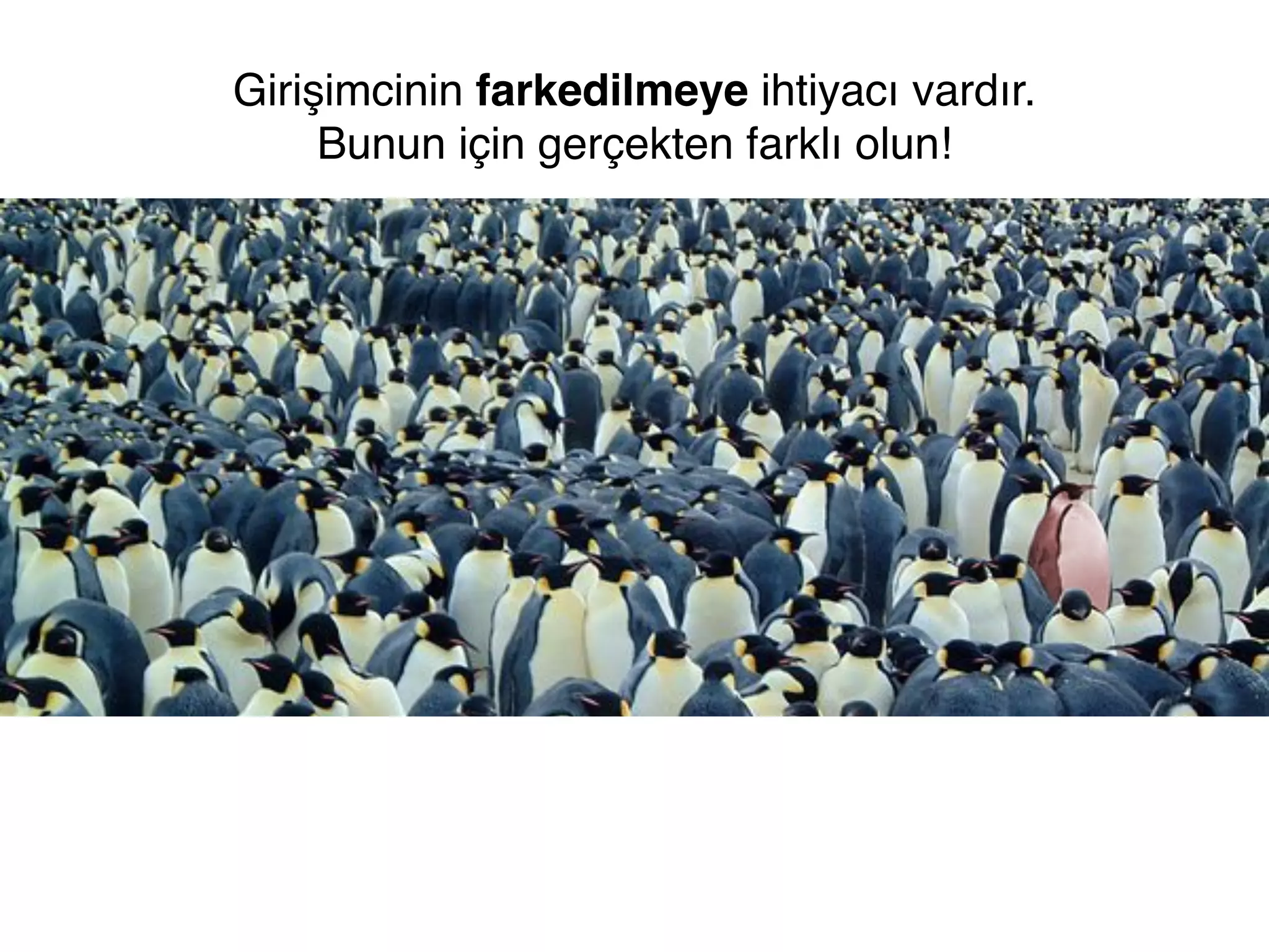 Gorsel anlatimlarla girisimcilik | PPT