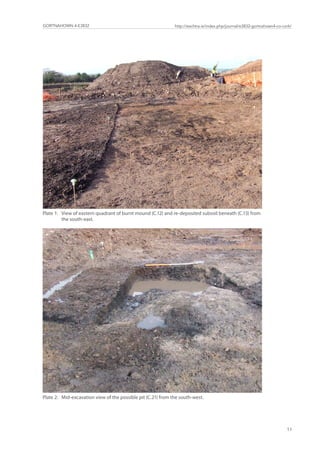 Archaeological Report - Gortnahown 4, Co. Cork (Ireland) | PDF