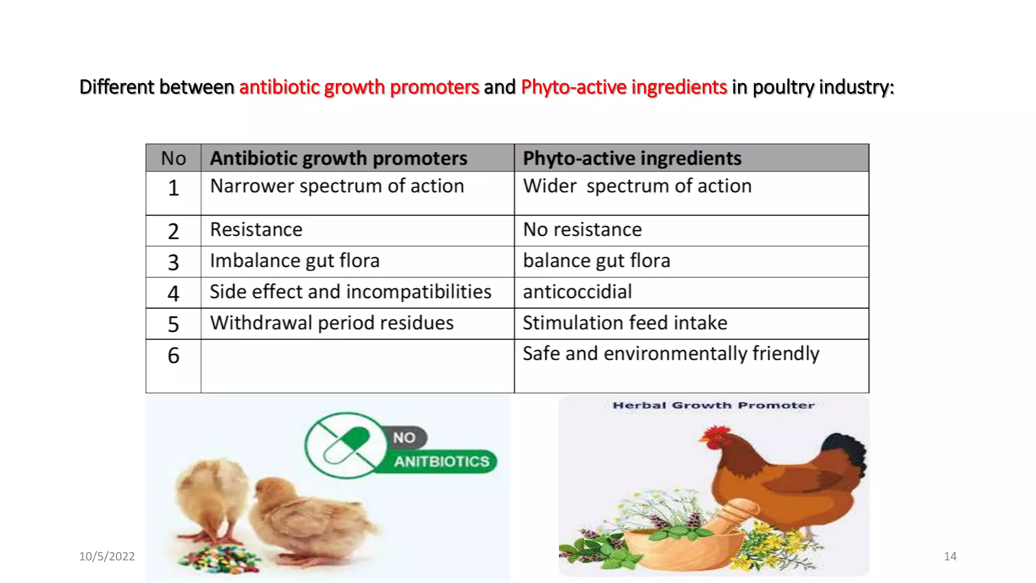 Gorwth Promoters in Poultry Nutrition.pptx