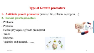 Gorwth Promoters in Poultry Nutrition.pptx