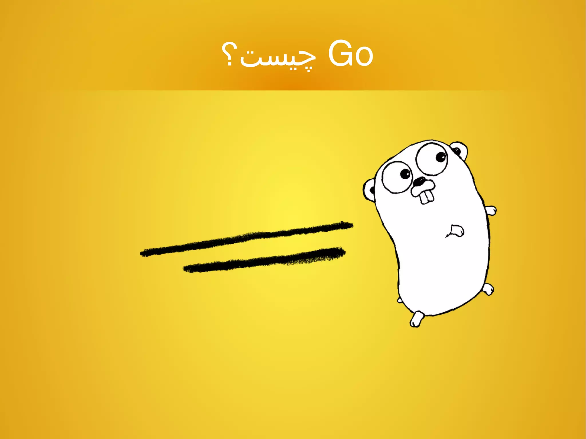 Go Programming Language Ppt 