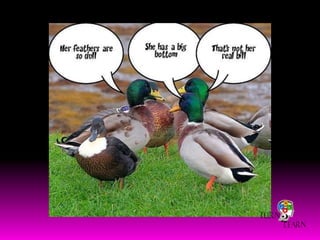 Gossip and slander show | PPSX